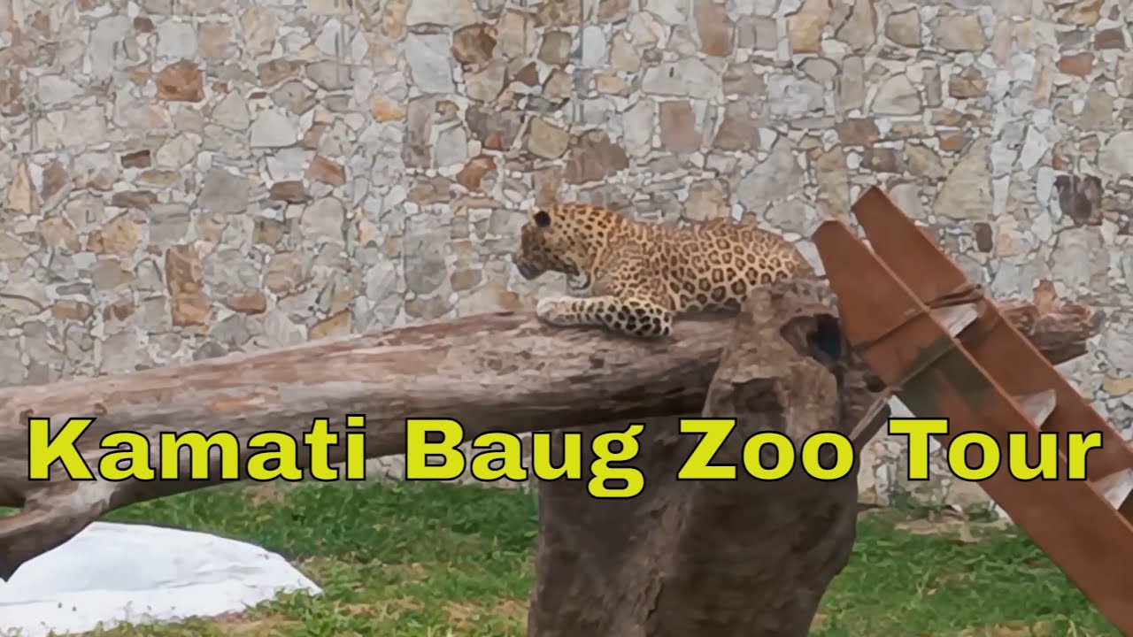 Kamati Baug Zoo Tour Vadodara Lion- Tiger | Sayaji Baug | Gujarat vlog ...
