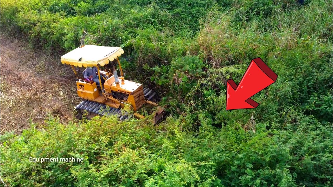 Best of the best dozer mini pushing cleaning Forest trees by skiller ...