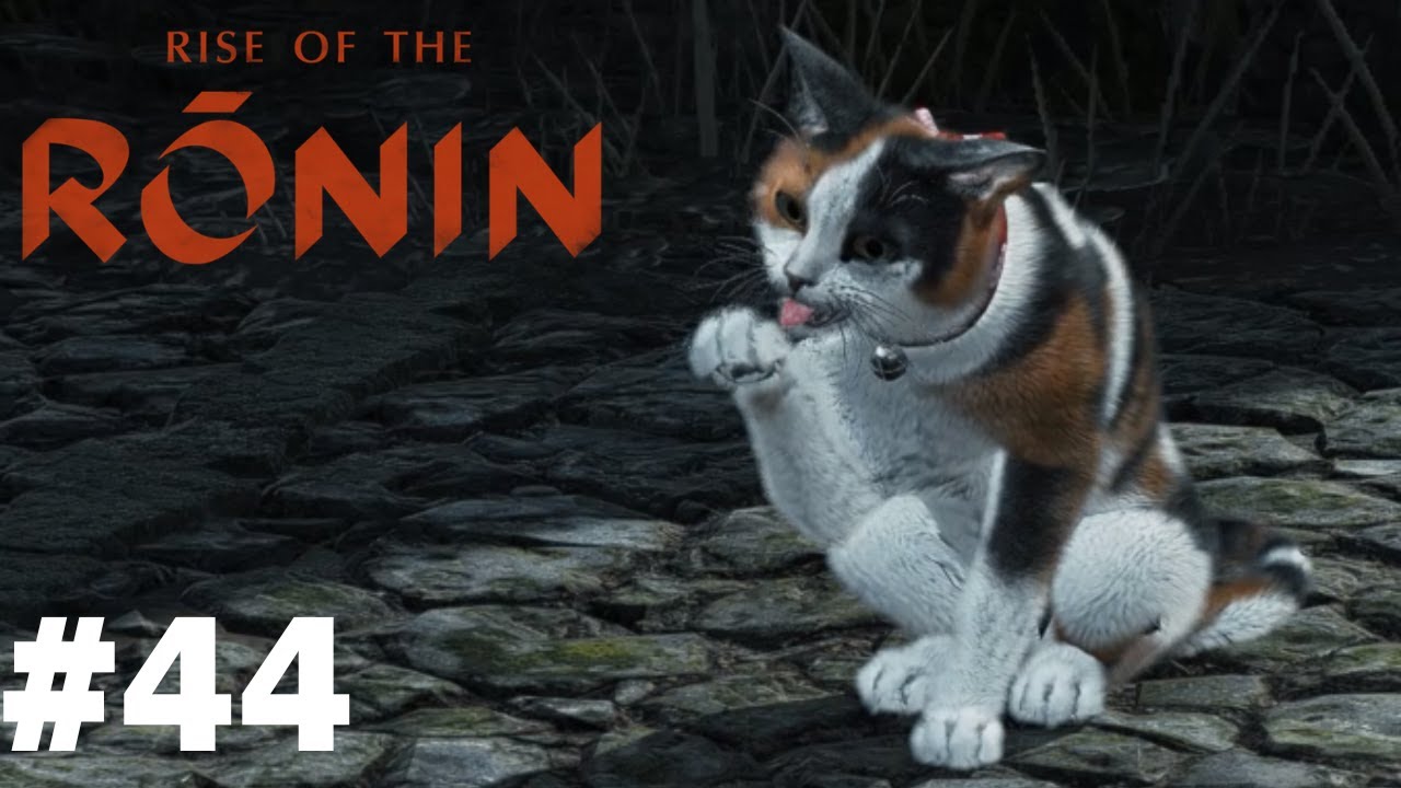 自分の道を切り開く【Rise of the Ronin】#44 - YouTube