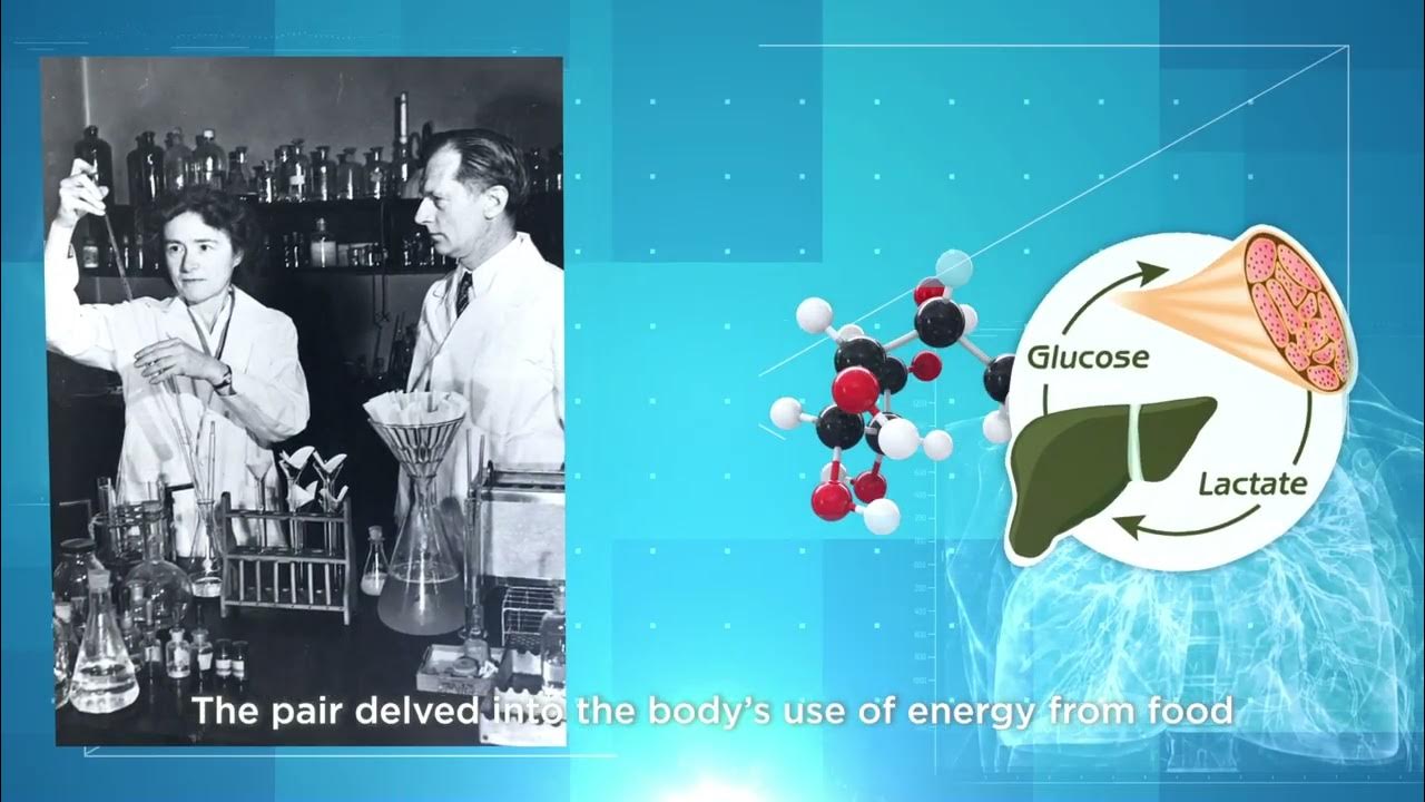 Gerty Cori The first U.S. woman to win a Nobel Prize in science. - YouTube