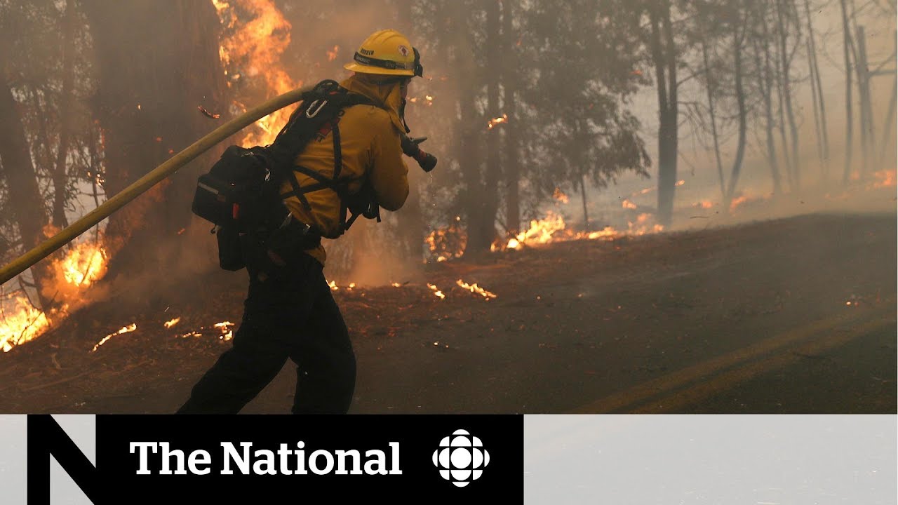 First-hand look at devastation from Kincade Fire - YouTube