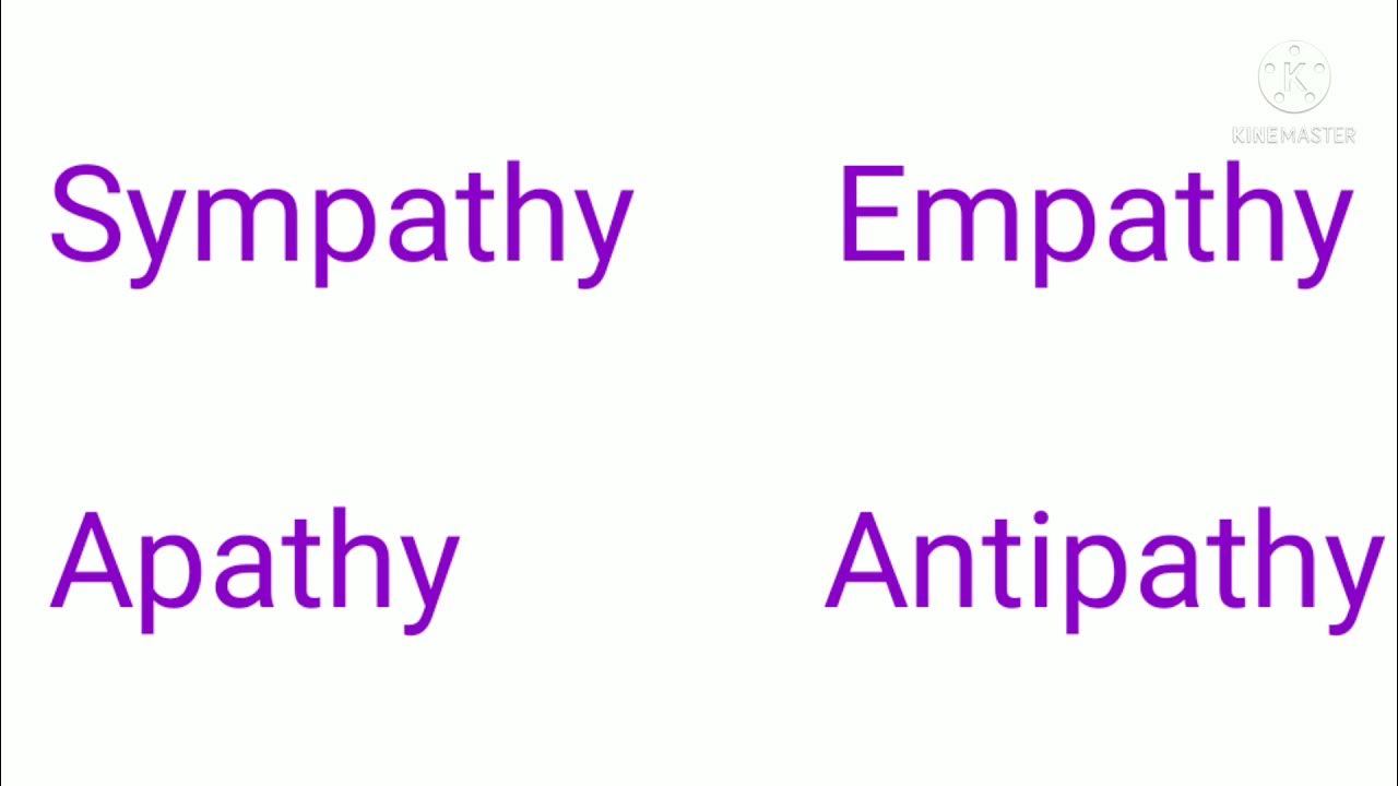 Difference between sympathy empathy apathy antipathy. - YouTube