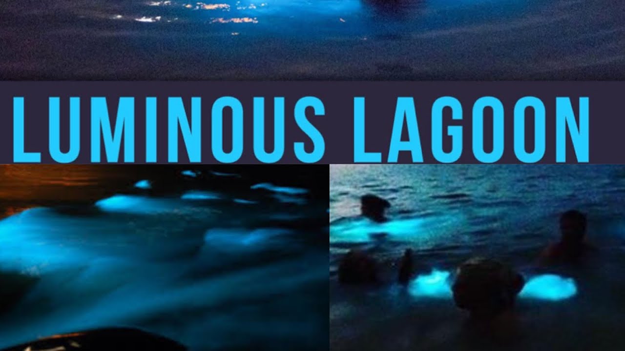 Blue Lagoon At Night Jamaica