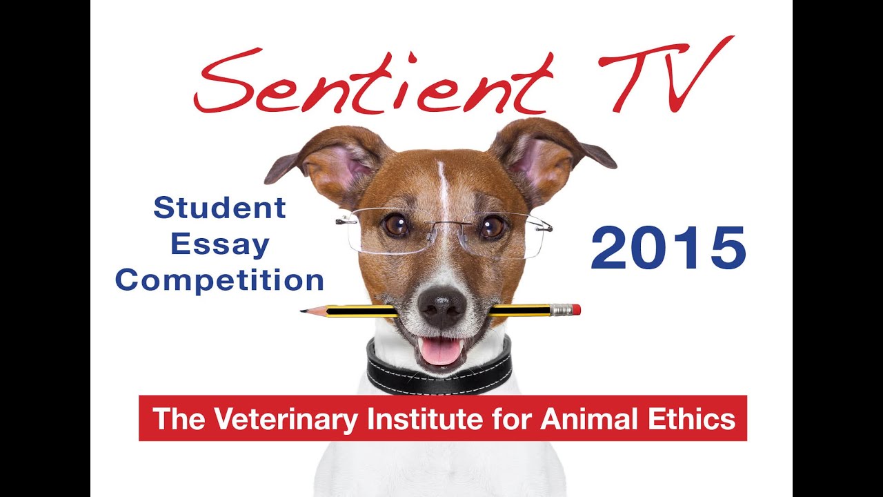 Sentient TV Ep 3 Student Essay Competion 2015 - YouTube