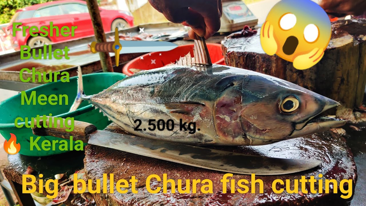 Bullet Chura fish cutting live 🧑‍💻💥 Bella Chura Cutting Live Video 🗡️ ...