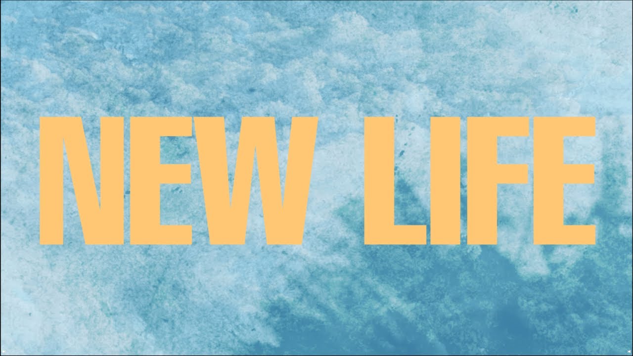Alvin Ray - New Life (Lyric Video) - YouTube
