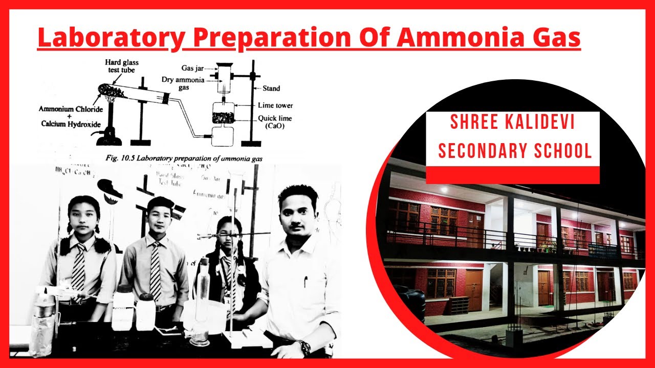 Laboratory Preparation Of Ammonia Gas- Alisa Khatri - YouTube