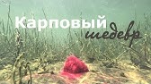 ЛУЧШАЯ прикормка для флэта. Рыбалка на карпа. - YouTube
