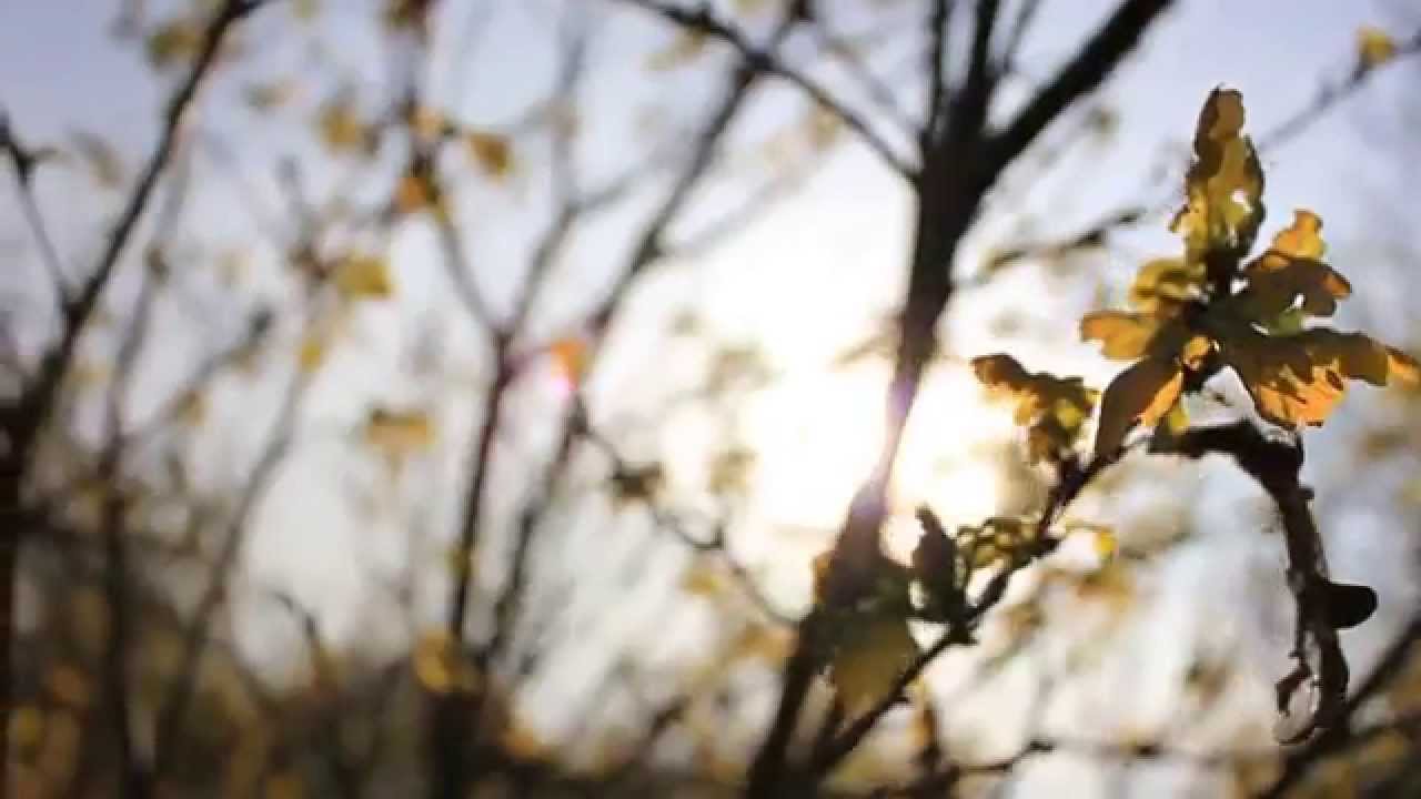 Ed Couzens - Tricking 2014 - YouTube