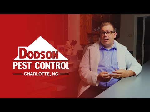 Dodson Pest Control (Charlotte, NC) - YouTube