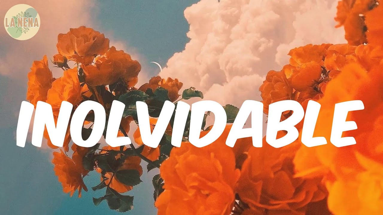 Inolvidable - Ovy On The Drums (Lyrics/Letra) - YouTube