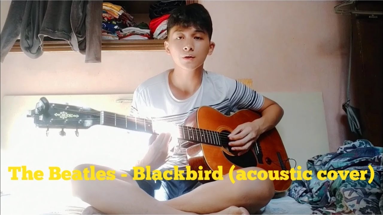 The Beatles - Blackbird (cover) - YouTube