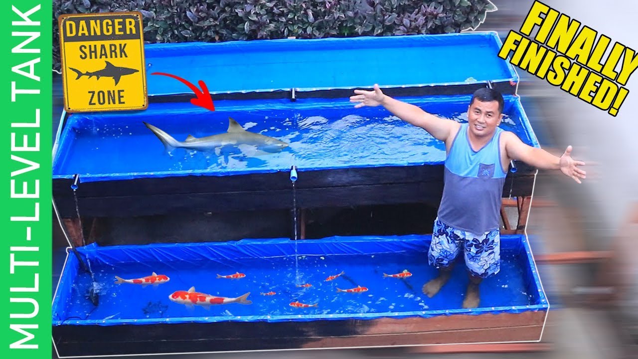 MY DIY MULTI-LEVEL WOODEN POND💪🏼💪🏼 IS FINALLY FINISHED! - YouTube