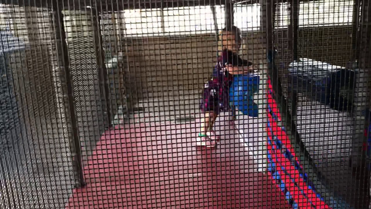 Burger King Play Place!! - YouTube