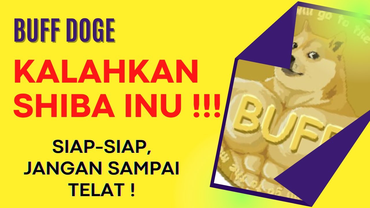 BUFF DOGE KALAHKAN SHIBA INU !!! JANGAN SAMPAI TELAT !!! - YouTube
