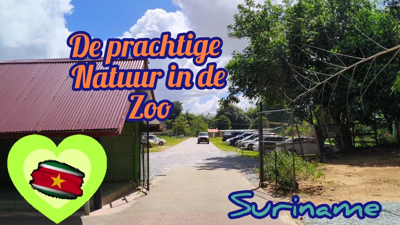 Prachtige natuur in Paramaribo Zoo/ Beautifull nature in the Zoo in ...