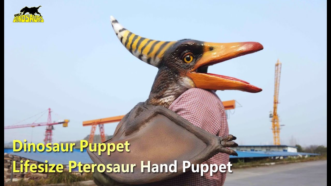 Realistic Lifesize Pterosaur Hand Puppet For Show | Puppets - YouTube
