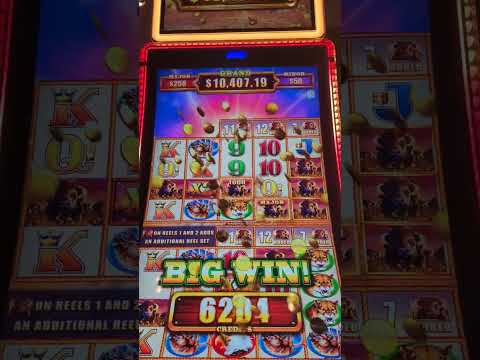 Buffalo - Surge Double Up Jackpot Triple Pop - 5 cent denomination ...