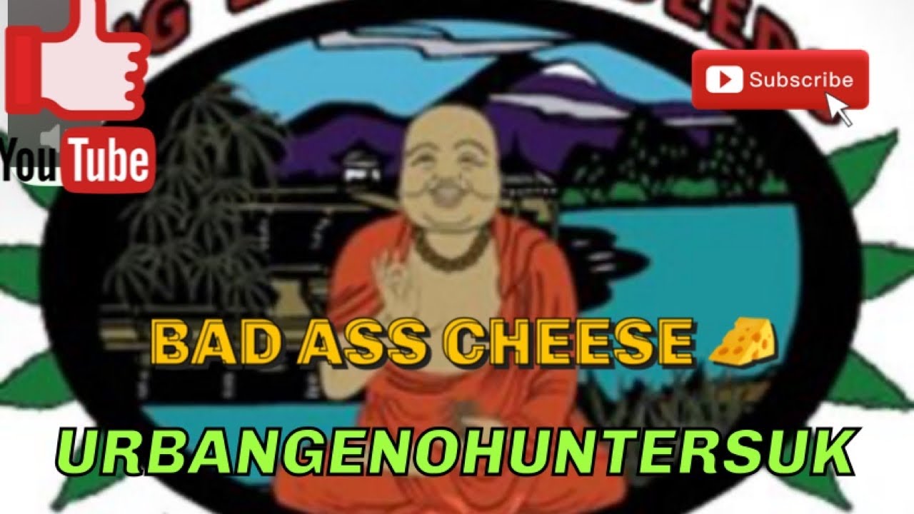 URBANGENOHUNTERSUK badass cheese 🧀 - YouTube