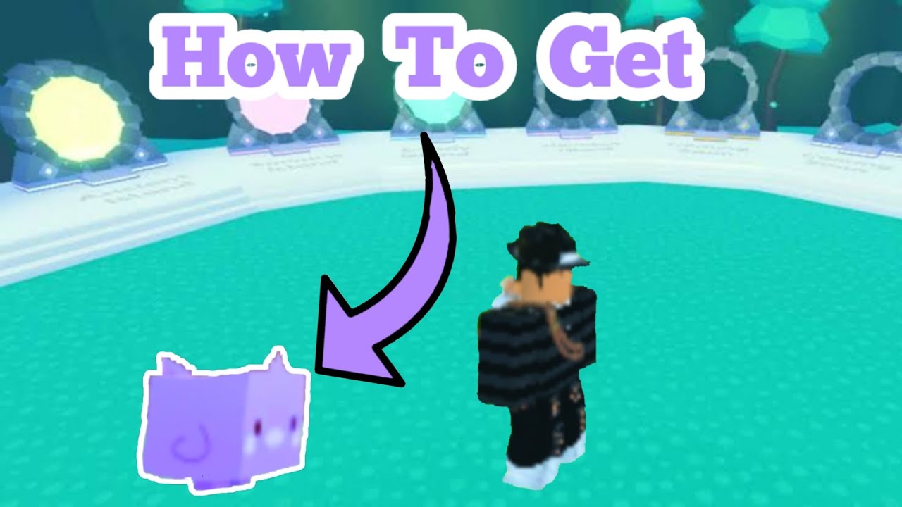 how to get new secret pet in pet simulator x - YouTube