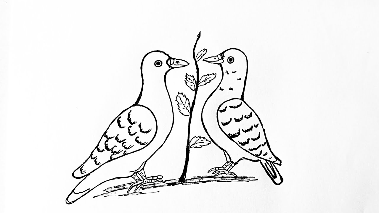 Two love birds drawing easy। Birds drawing tutorials। Bird drawing with ...