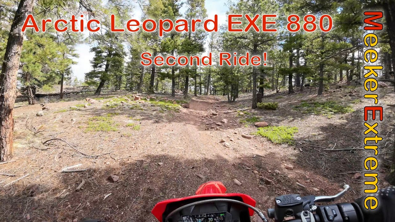 Arctic Leopard - Messing around on the EXE 880! - YouTube