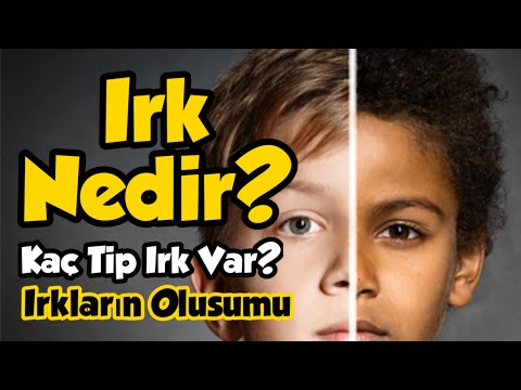 Irk Nedir - Kaç Tip Irk Vardır - İnsan Irklarının Oluşumu