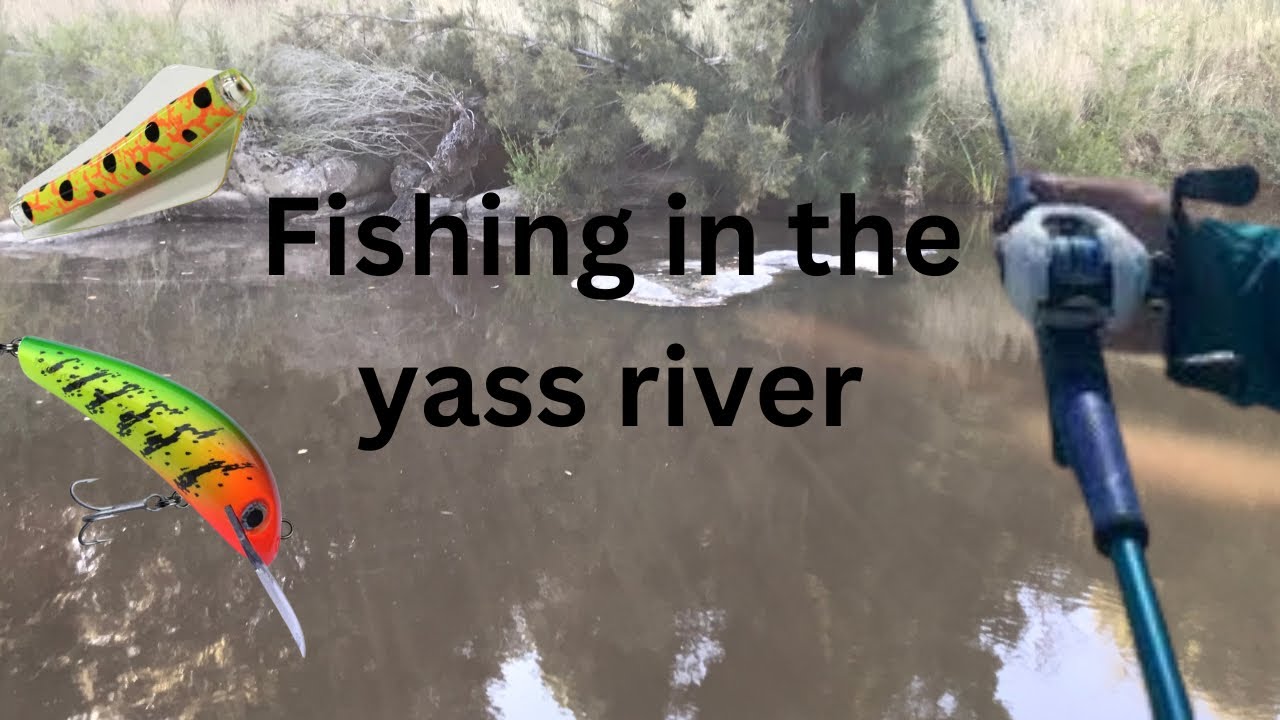 Fishing(caught something) - YouTube