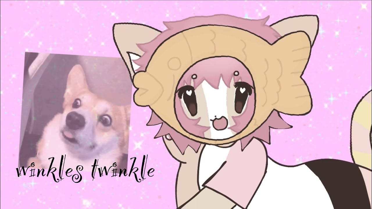 winkles twinkle - meme :3 - YouTube