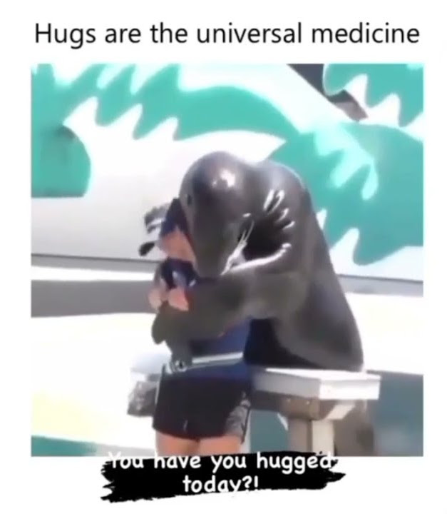 I Need Hug Shorts Youtube