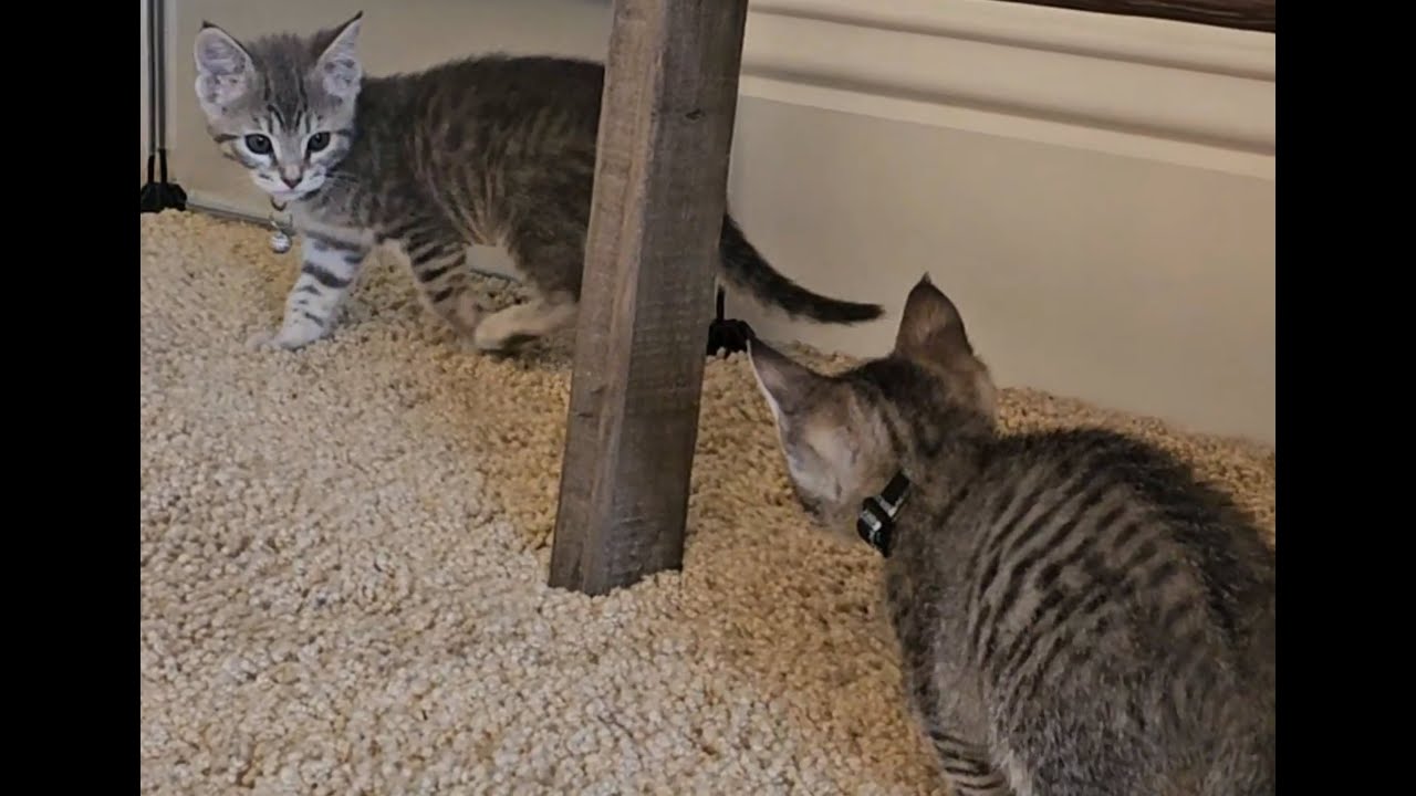 31 - Episode: Tiny Tweaks Big Results Simple Actions to Supercharge Your Day... - YouTube