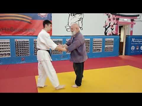 24 формы тайцзицюань. Применение. все очень просто.