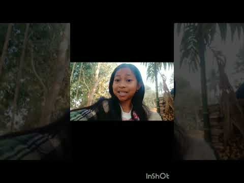 February 11, 2024 - YouTube