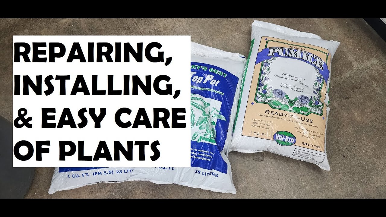 Repairing, Installing & Early Care of Plants - YouTube