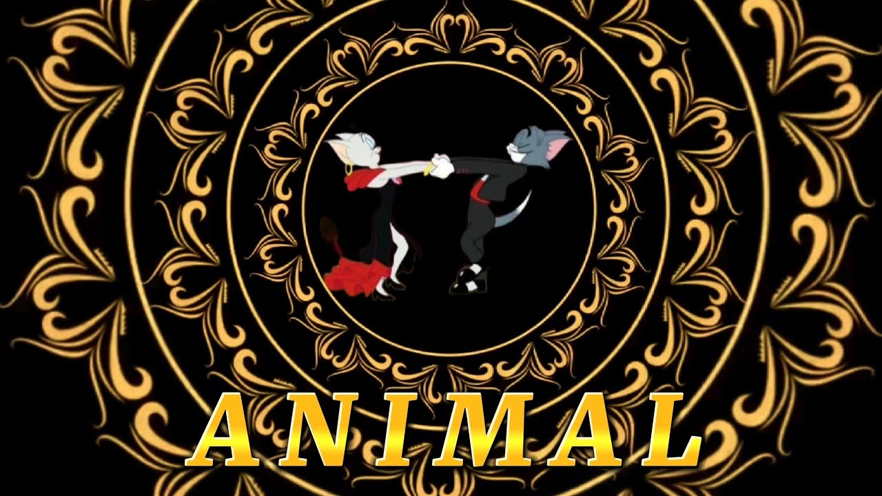 ANIMAL | Jamal Kudu | Tom & Jerry | Cartoon | 8D Audio..... - YouTube