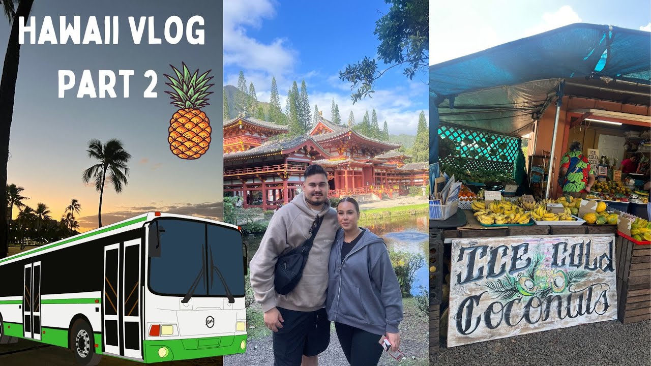 HAWAII VLOG 2024 ! Exploring the whole island in one day!!! - YouTube