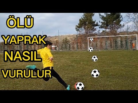 ÖLÜ YAPRAK VURUŞU - KNUCKLEBALL