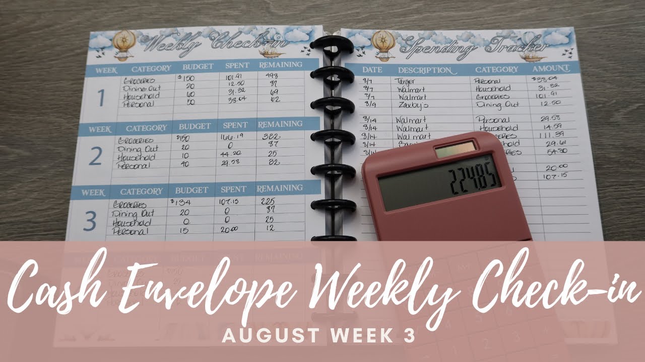 Weekly Check-in| August 2022-Cash Envelope Week 3 Check-in| Debt: $0 ...