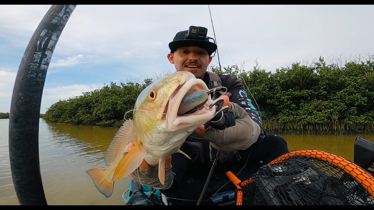 Fishing For Redfish in One Foot of Water with BFS/UL Setup (South Texas ...