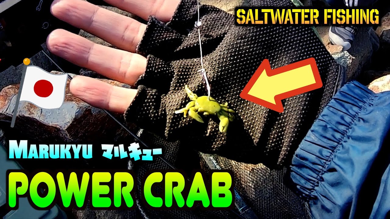 Fish loves Crab? Marukyu Power Crab - YouTube