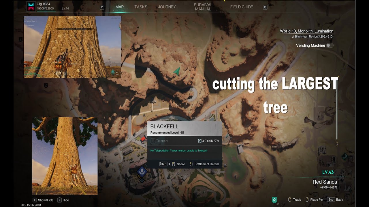 The Largest Tree in Once Human - YouTube