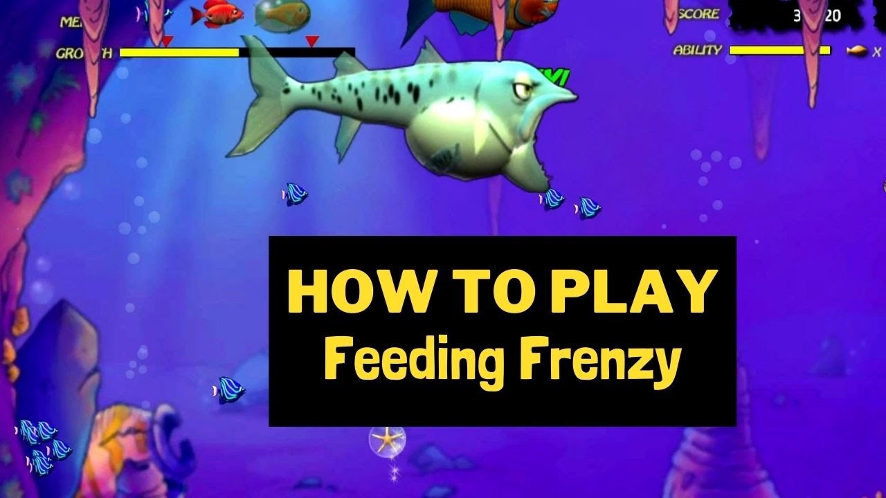How To play Feeding Frenzy - YouTube
