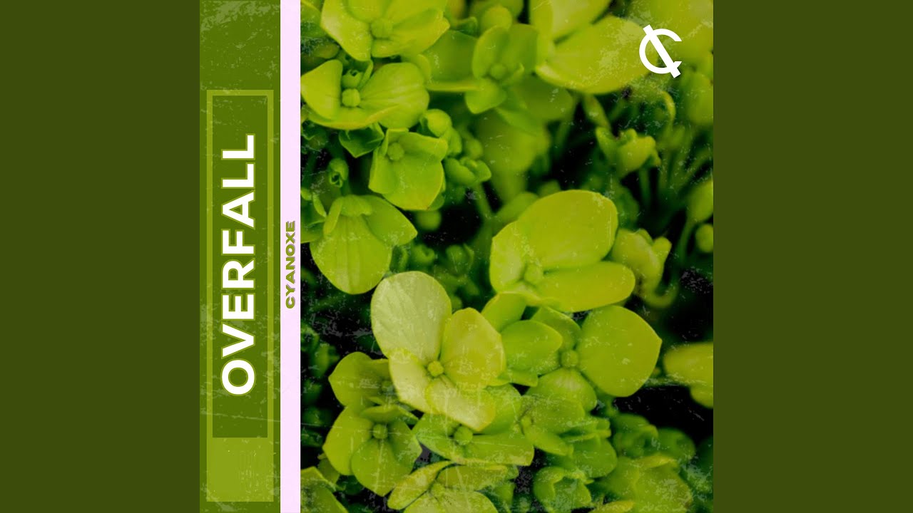 Overfall - YouTube