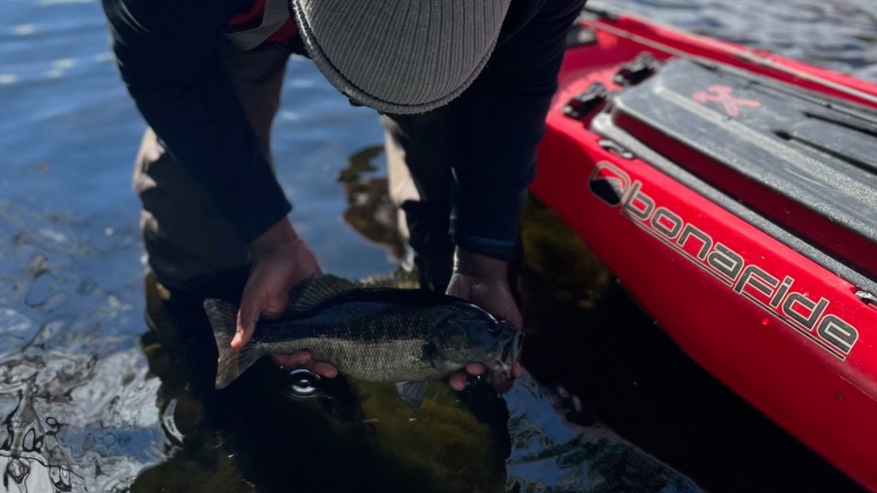 kayaking Remote Florida Rivers: Trophy Suwannee Bass! - YouTube