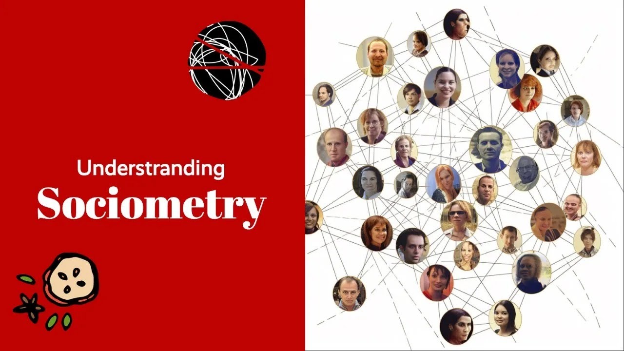 What is Sociometry समाजमिति क्या है (in hindi) #Sociometry # ...