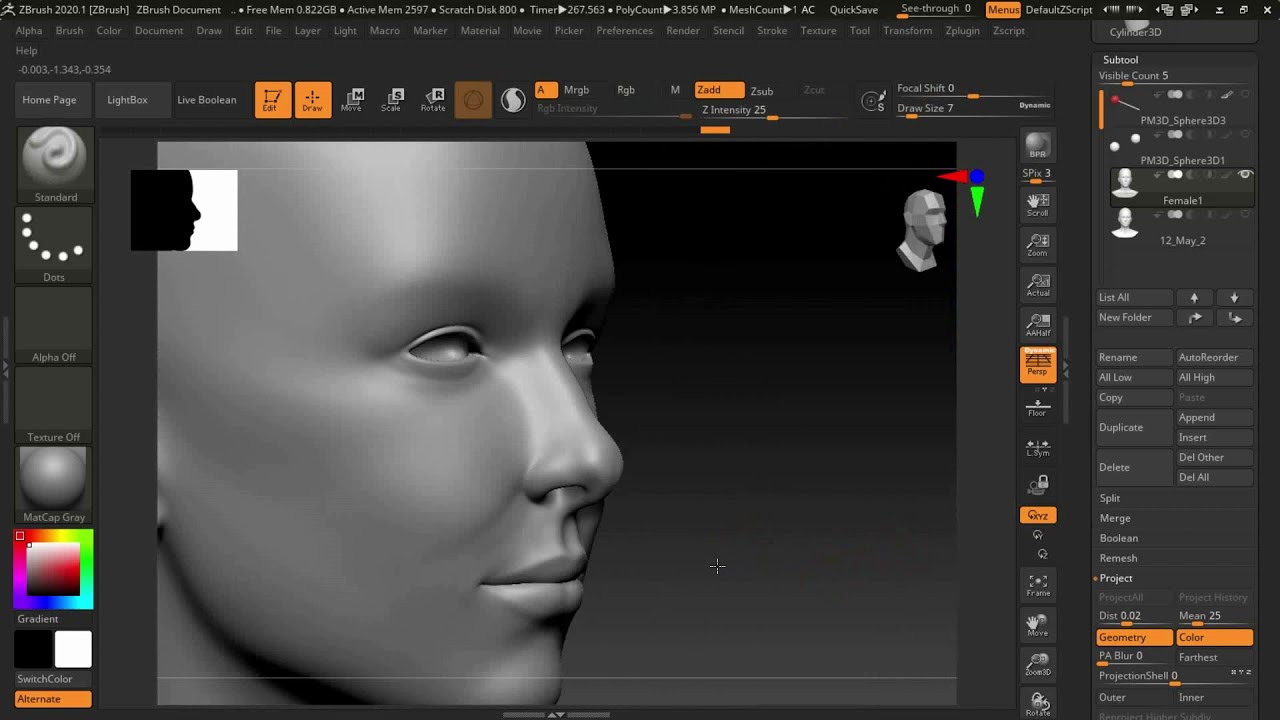 Zbrush-Projection - YouTube