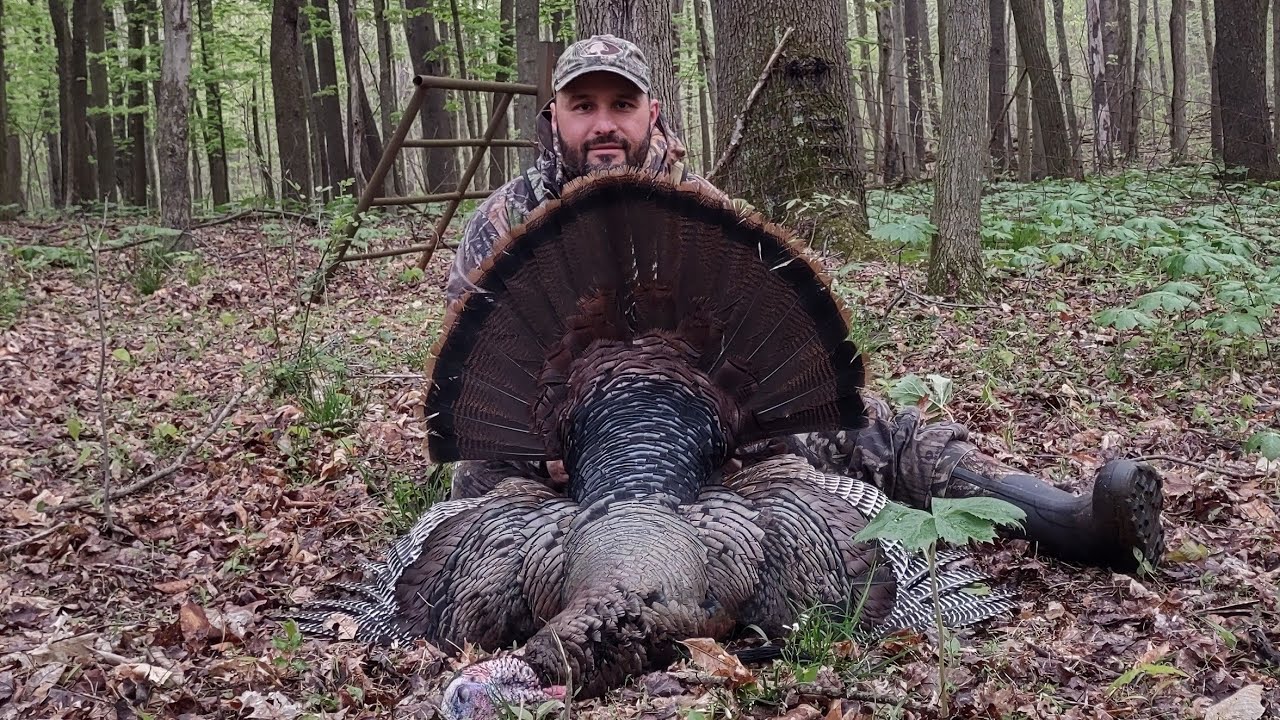 PA Spring Gobbler Hunt 5/1/23 - YouTube