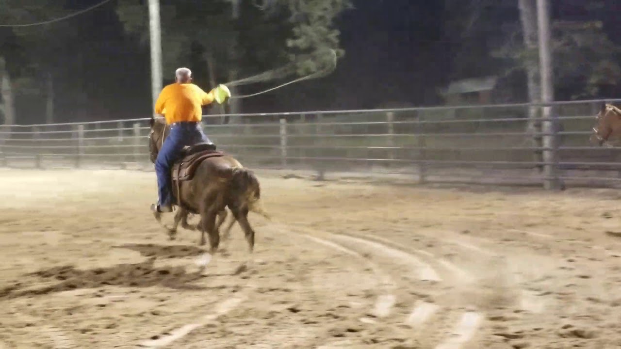 20171013 Roping Practice(22) - YouTube