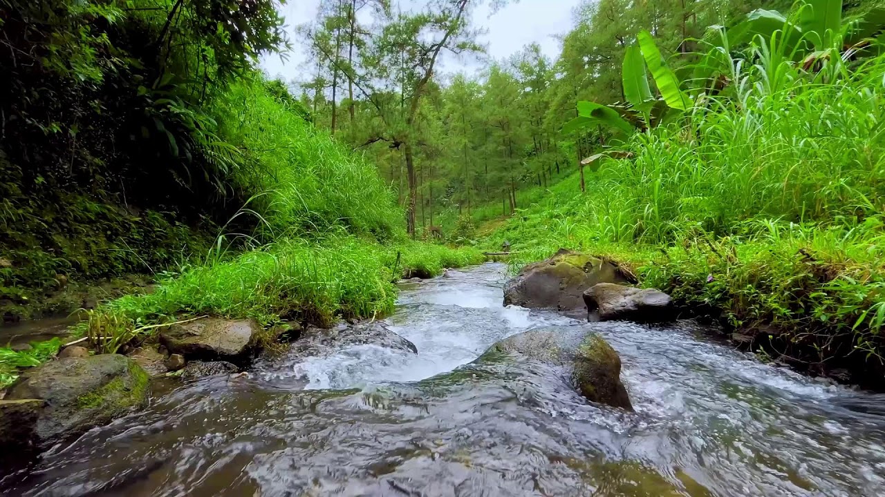 Relax Instantly with Natural Water Sounds from a Flowing Stream for ...