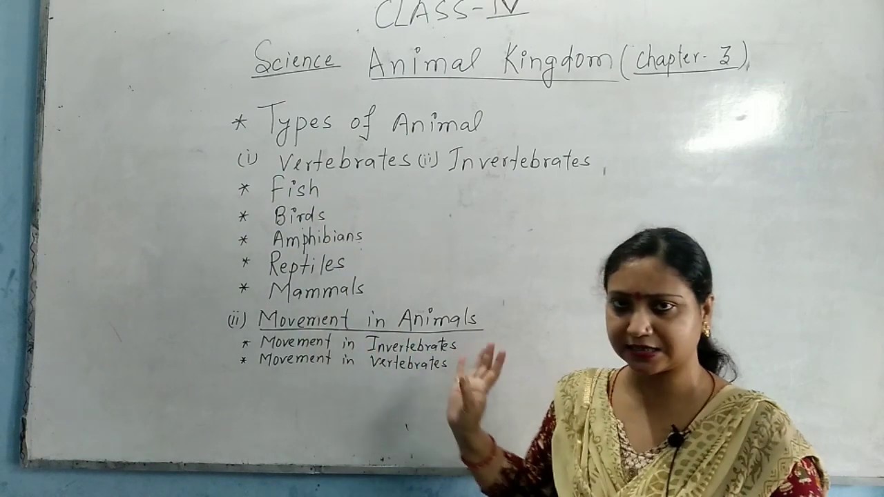 Class 4 Science Chapter 3 YouTube Class 4 Science Chapter 3 YouTube